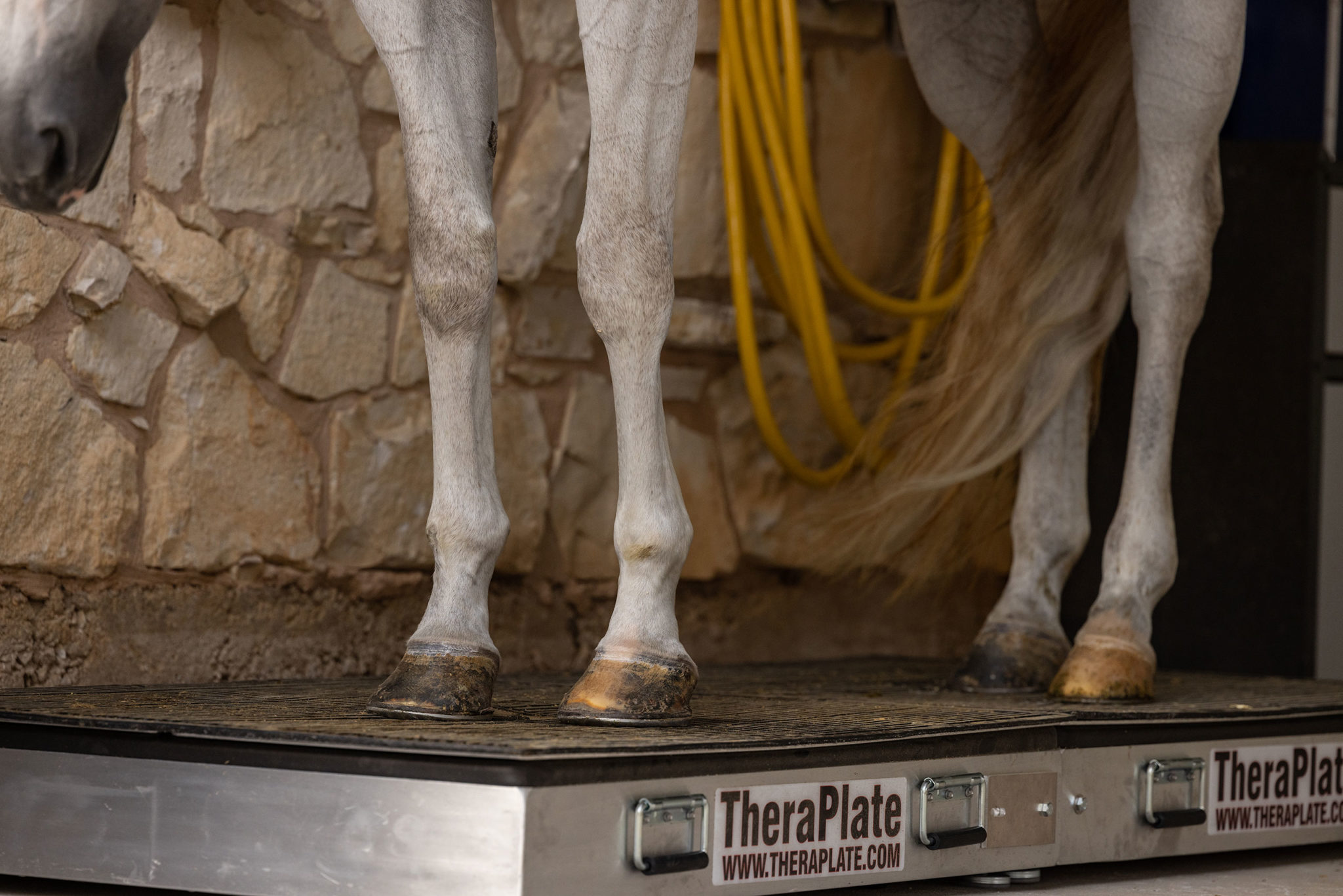 Corrival Ranch - Home