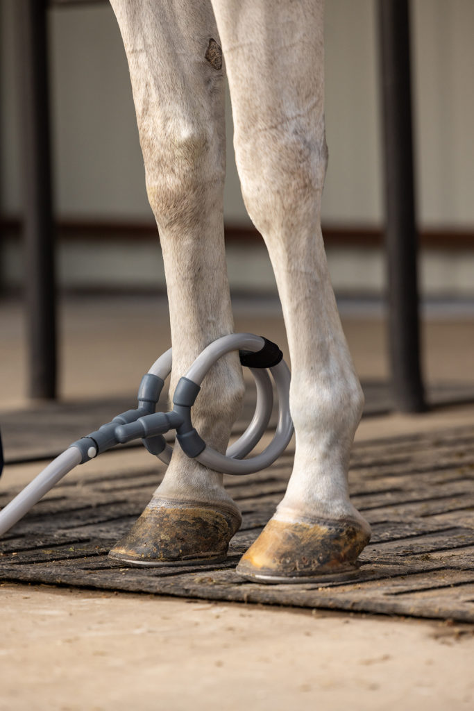 About - Corrival Ranch