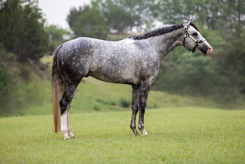 About - Corrival Ranch