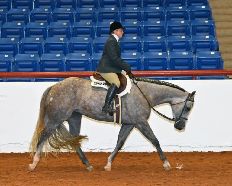 Team - Corrival Ranch